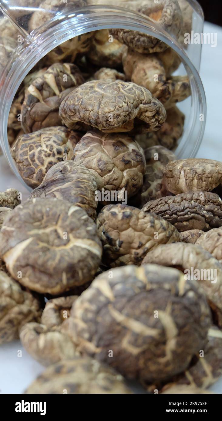 Vertical photo of dried tea flower shiitake mushrooms piling out from a ...