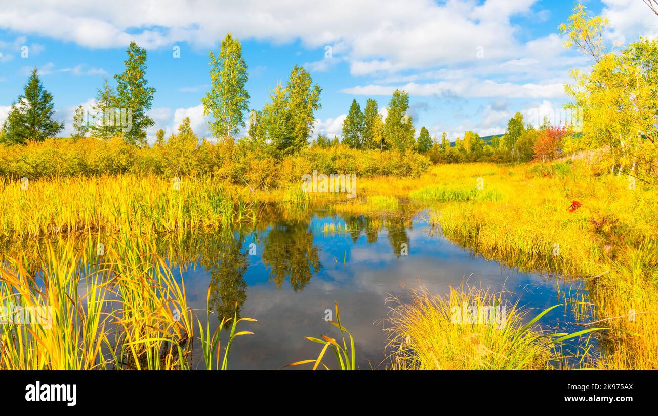 A small pond in a meadow in fall with a blue cloudy sky in the ...