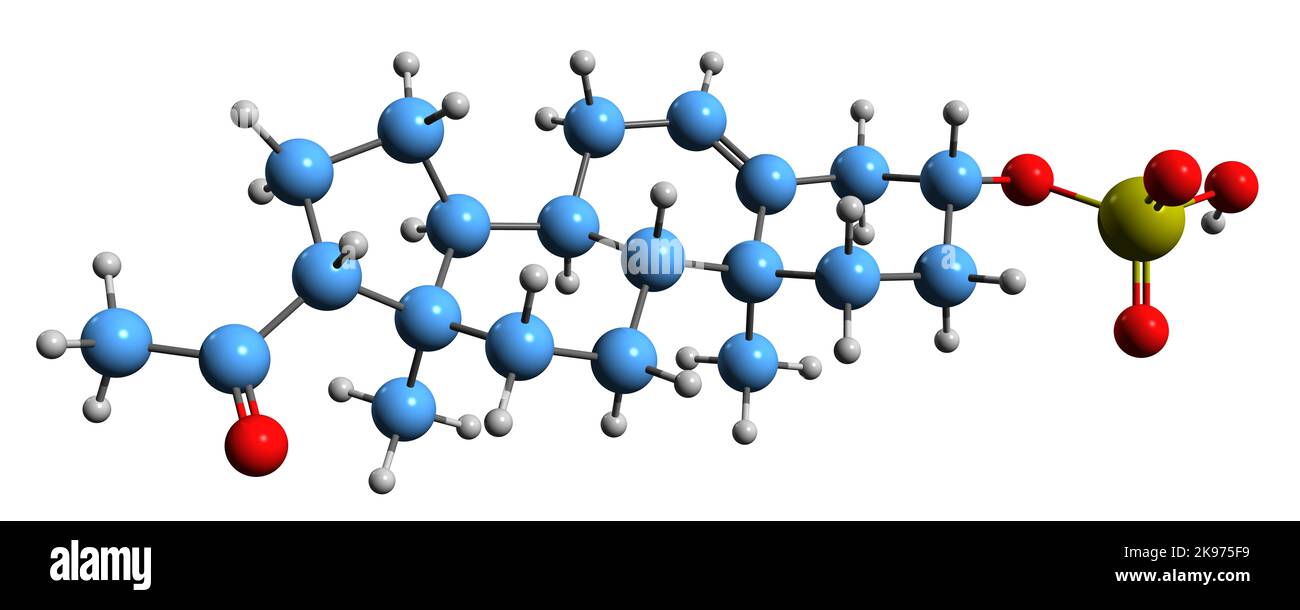 3D image of Pregnenolone sulfate skeletal formula - molecular chemical ...