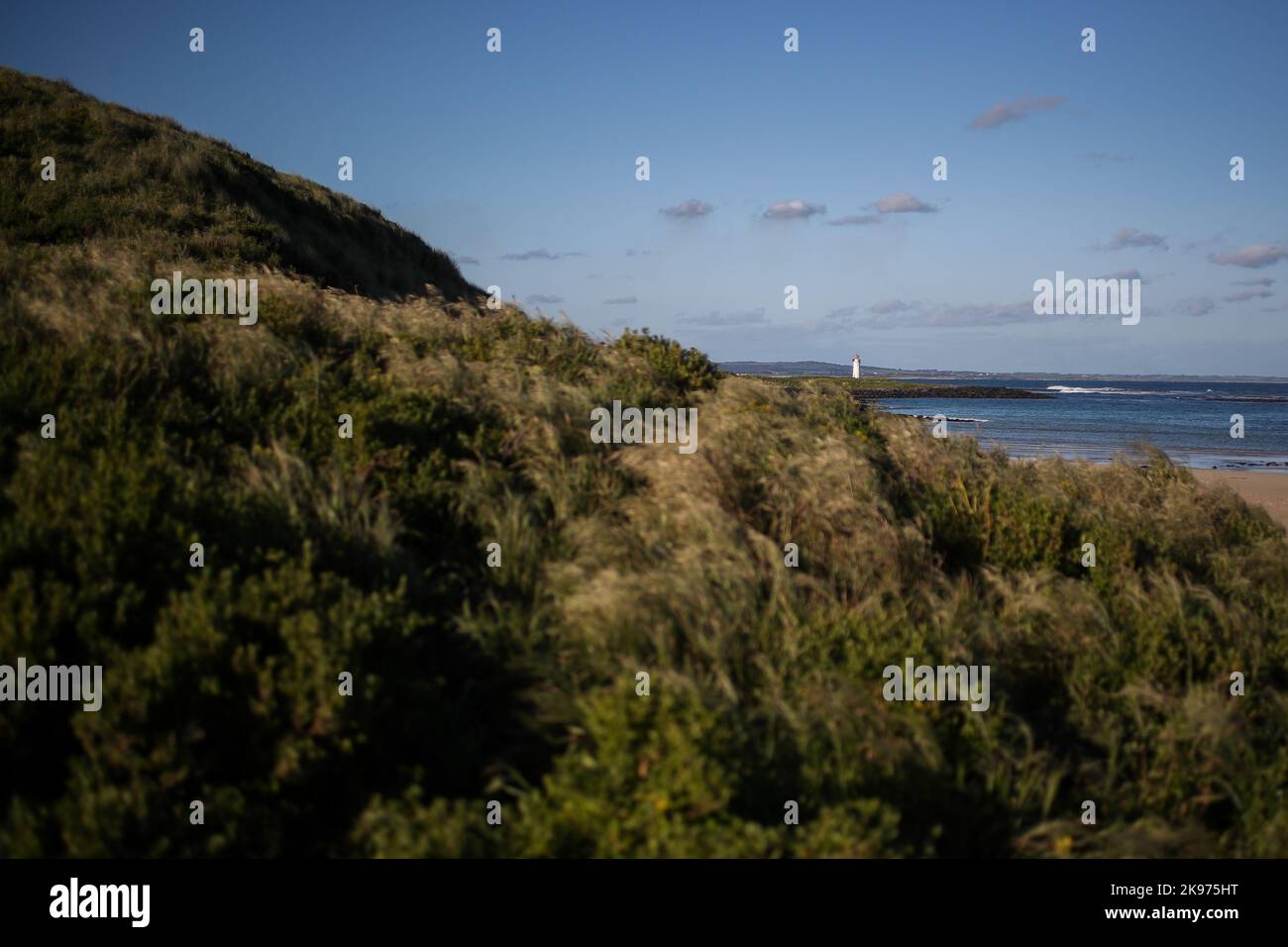 An aerial view of lighthouse surrounded by grass in background of sea ...