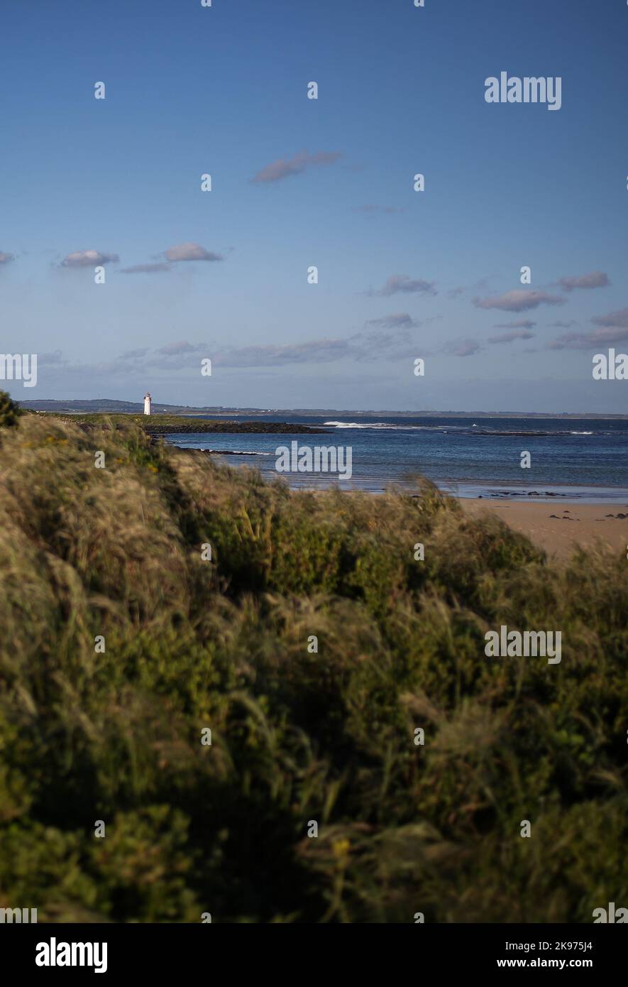 An aerial view of lighthouse surrounded by grass in background of sea ...