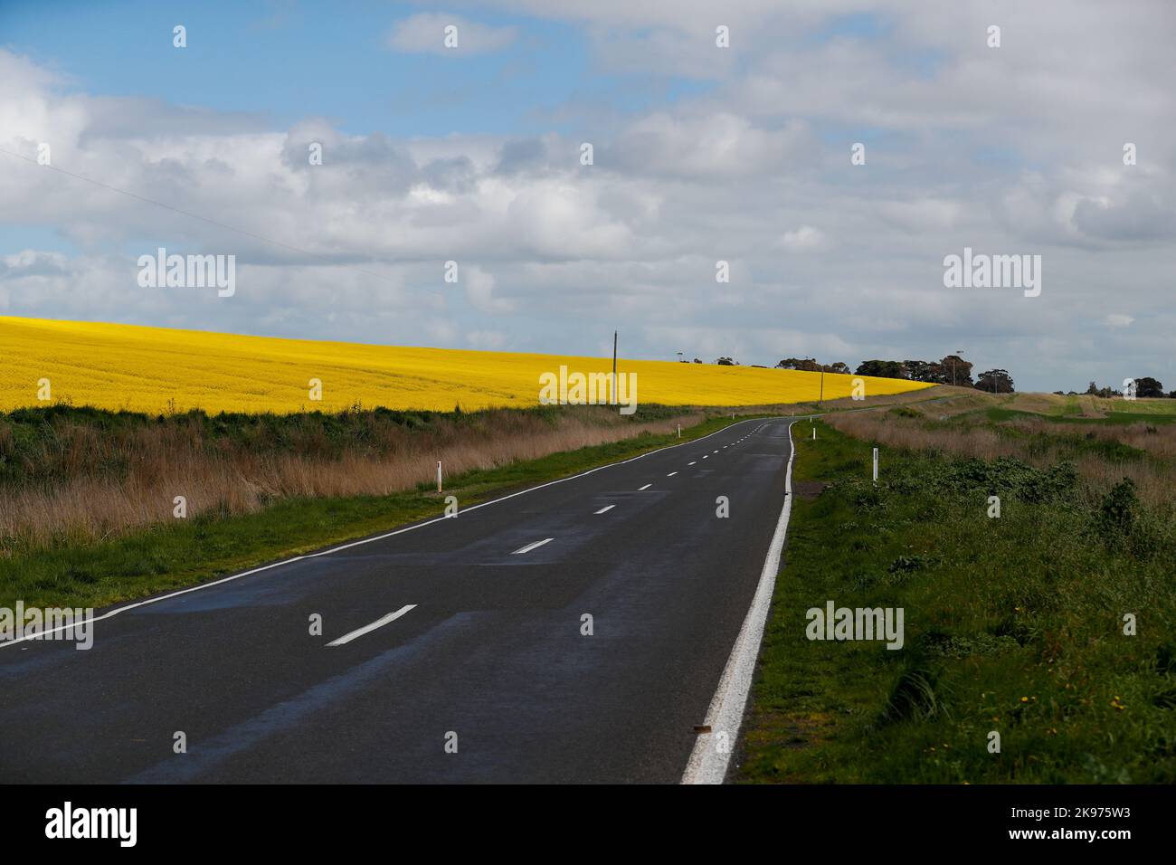 An aerial view of road surrounded by growing grass Stock Photo - Alamy