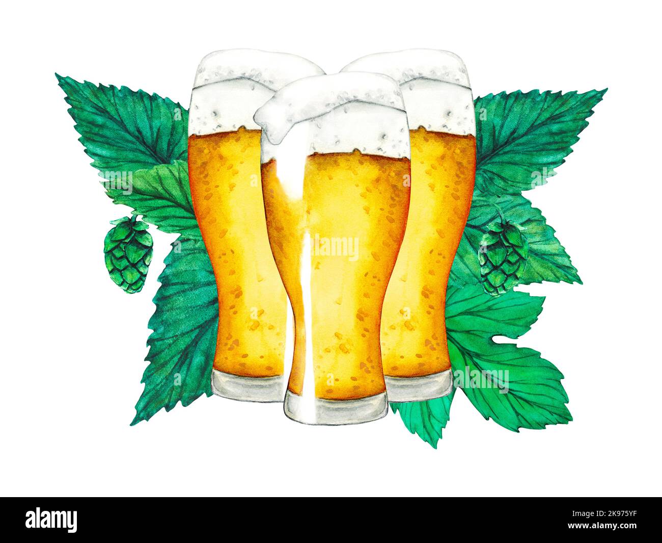 Glass of beer, hop and leaves. Watercolor hand drawn painting ...