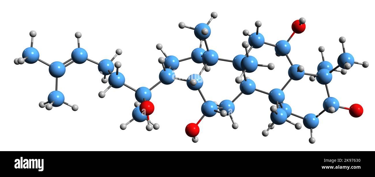 3D image of Protopanaxatriol skeletal formula - molecular chemical ...