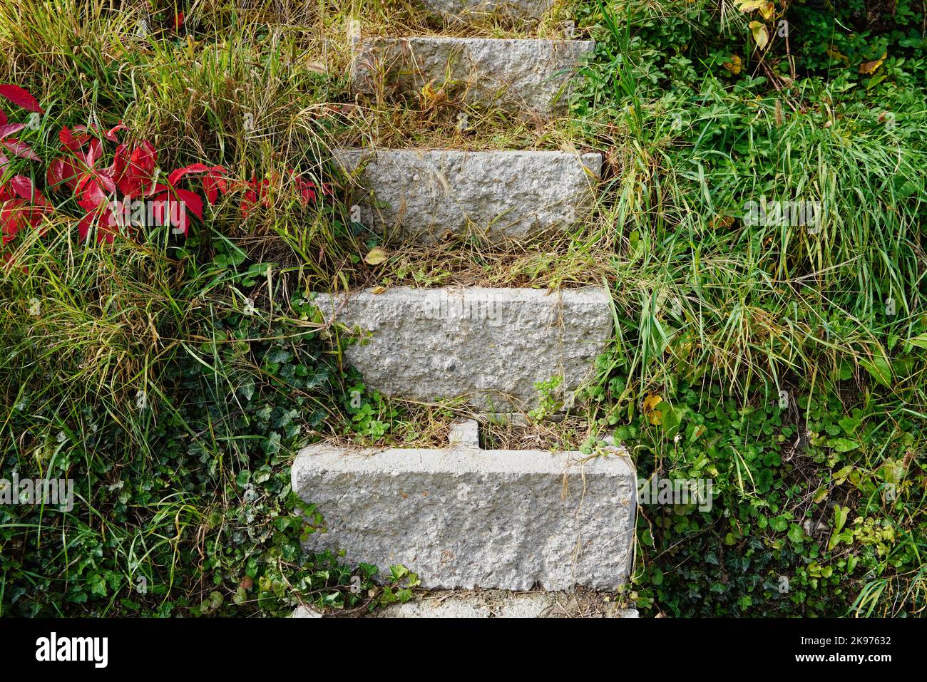 Natural steps from stones stones hi-res stock photography and images ...