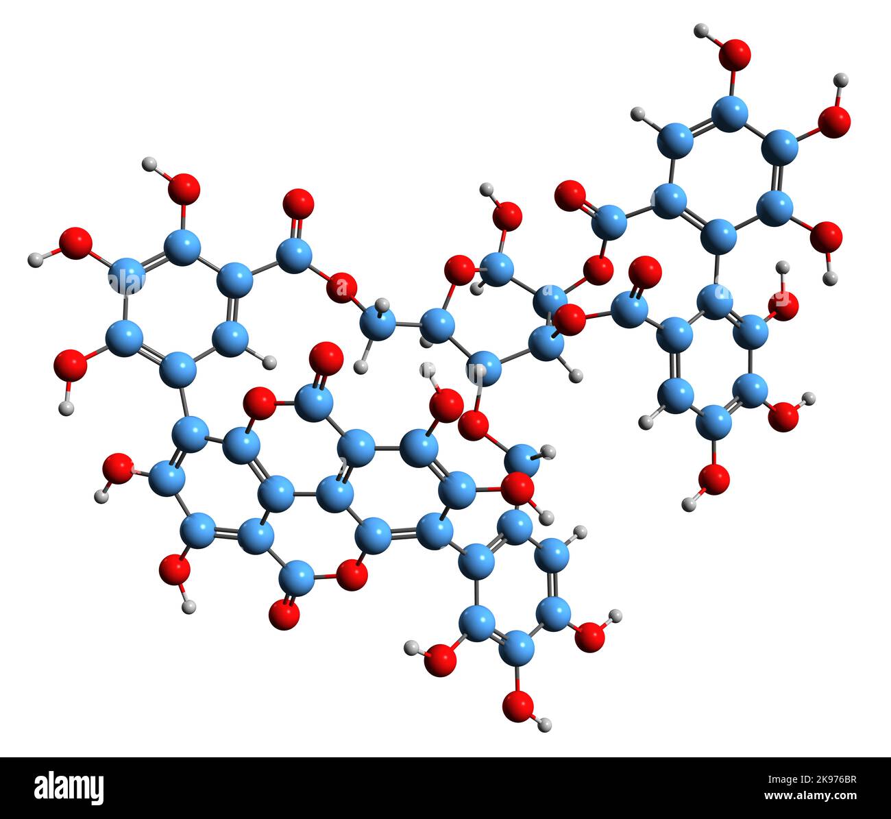 3D image of Punicalagin skeletal formula - molecular chemical structure ...
