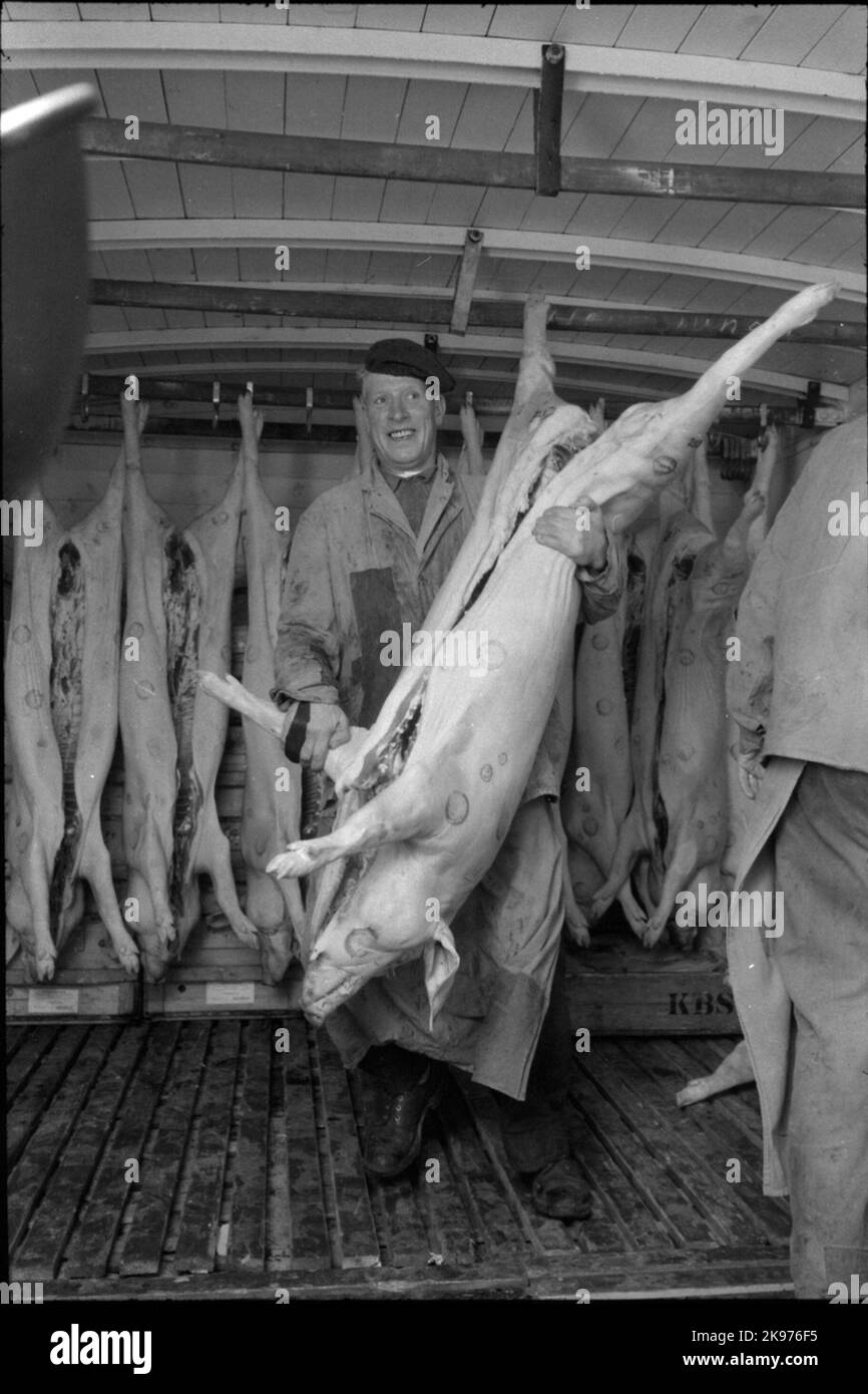 Meat wagons hi-res stock photography and images - Alamy