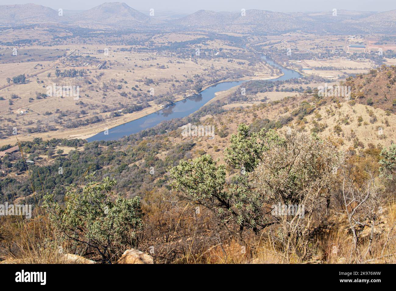 An aerial view of river surrounded by dense trees and bushes Stock ...