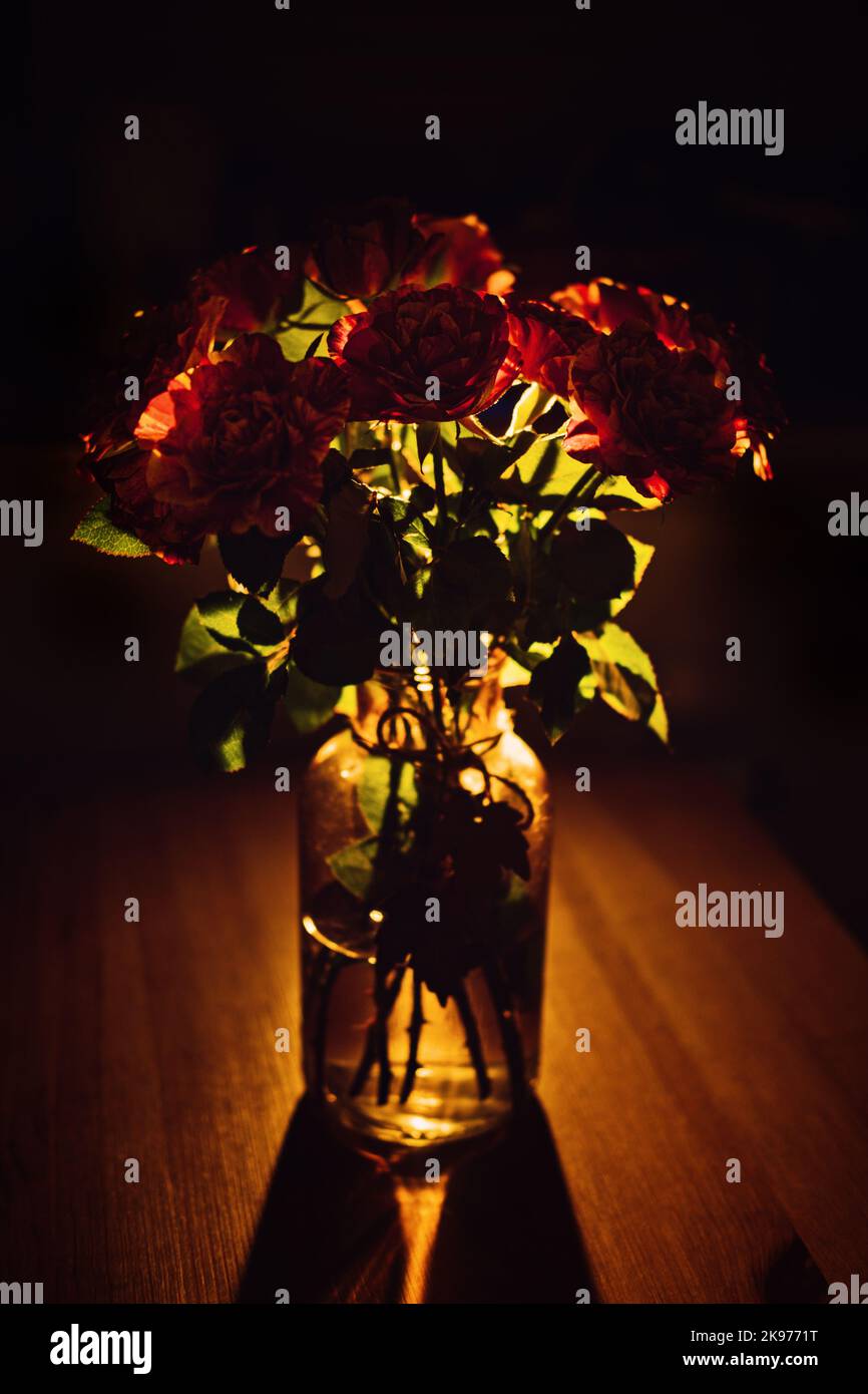 Dark moody flowers red roses bouquet background. Dark floral rose ...