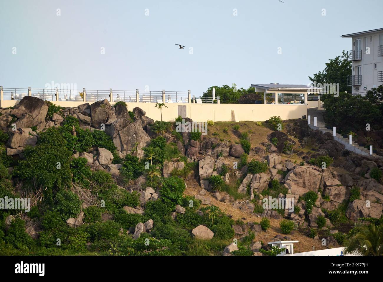 A bird flying over a house in front of rocks covered in bushes Stock ...