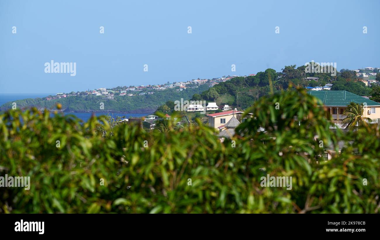 A gorgeous view of bright green trees on a tropical island with a calm ...