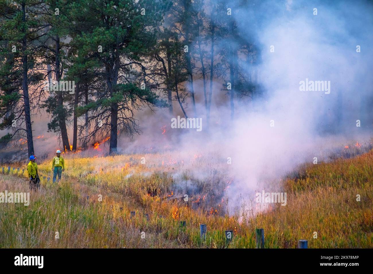 Prescribed burn at Devil's Tower, Wyoming, USA Stock Photo - Alamy