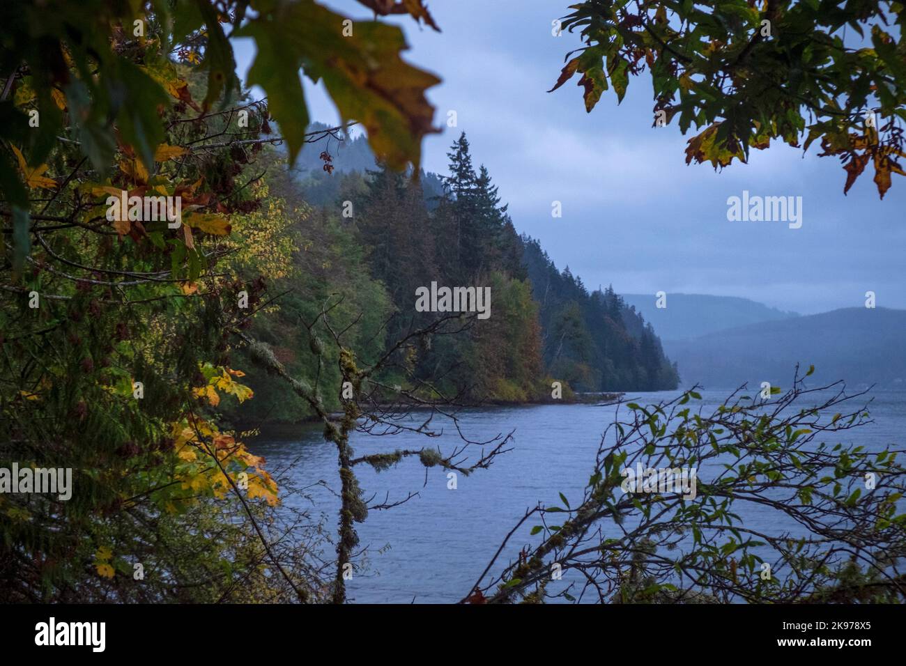 Pacific county washington gloomy hi-res stock photography and images ...