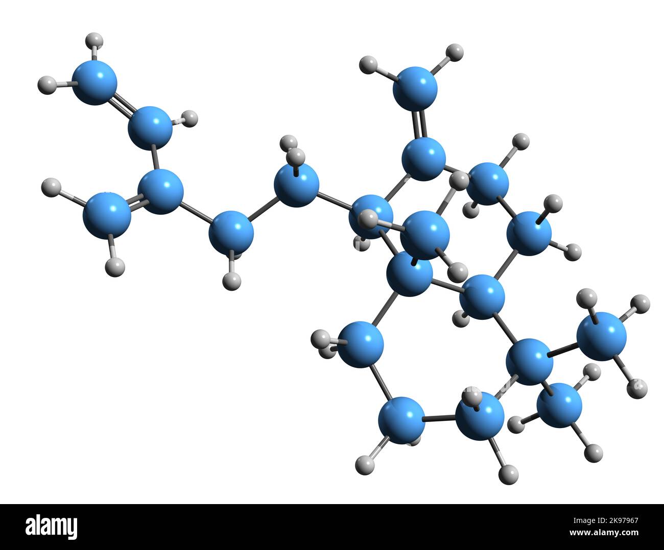 3D image of Sclarene skeletal formula - molecular chemical structure of ...