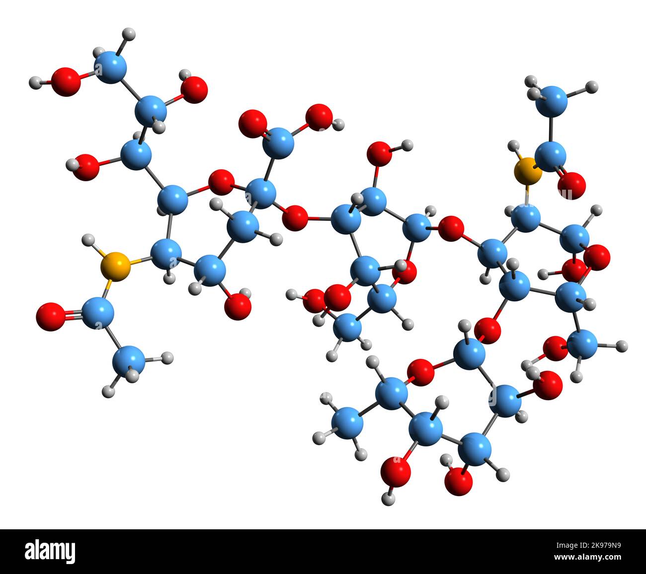 3D image of sialyl-LewisA Carbohydrate antigen skeletal formula ...