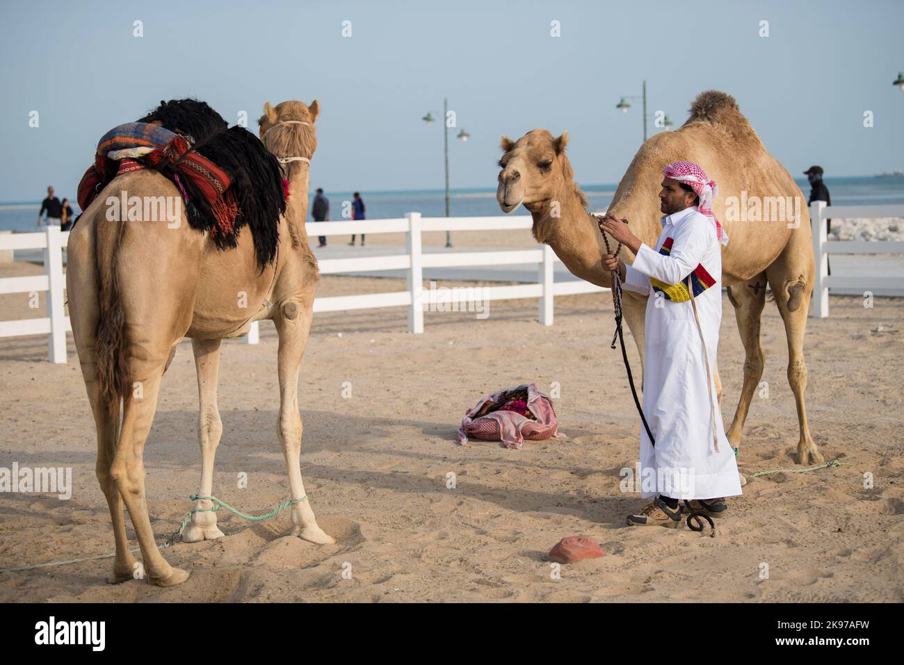 Doha, Qatar- October,22,2022 : A man puts traditional riding equipment ...