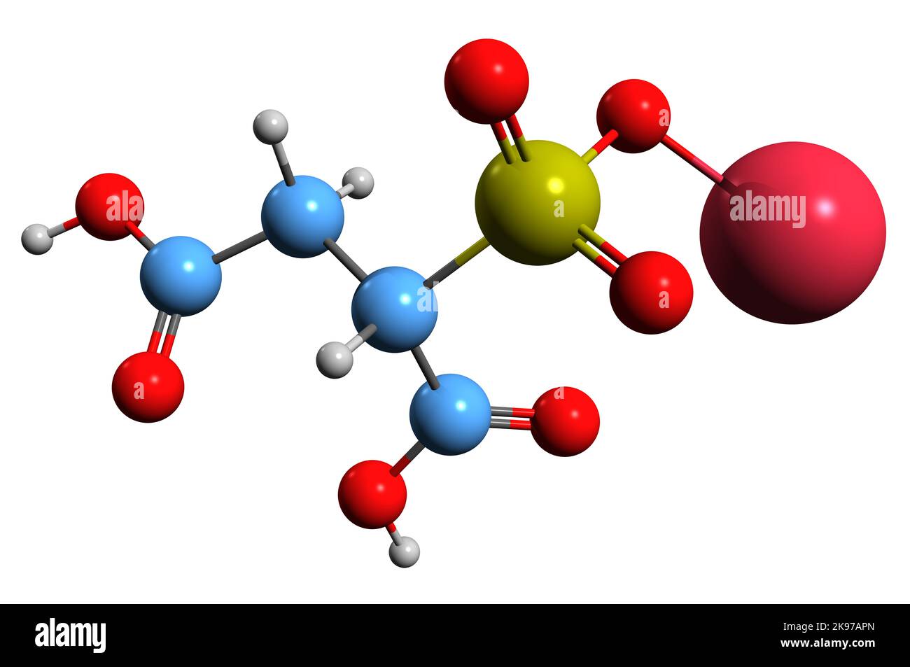 3D image of Sodium sulfosuccinate ester skeletal formula - molecular ...