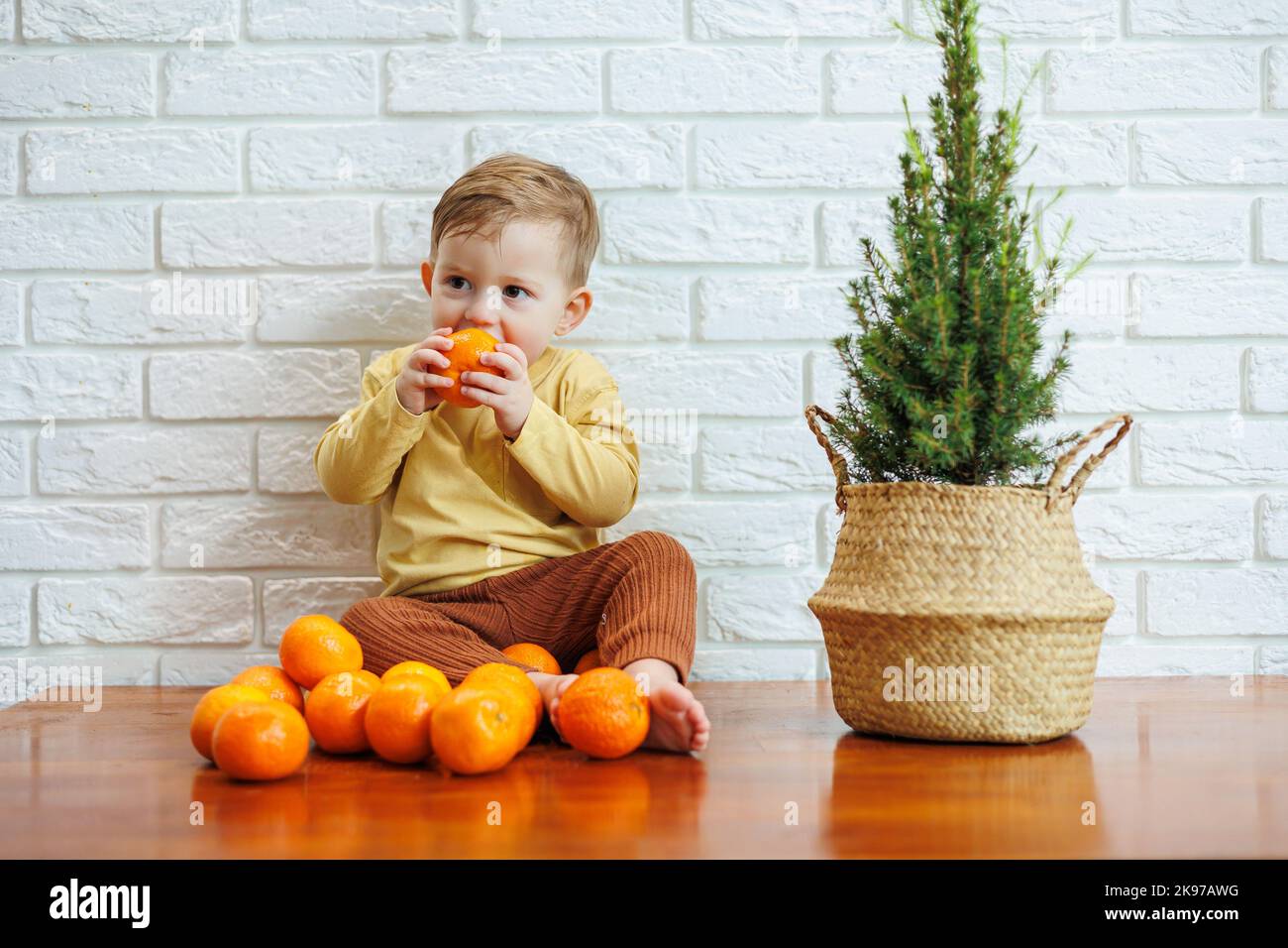 Little boy 2 years old eats tangerines. The kid wants to sit on citrus ...