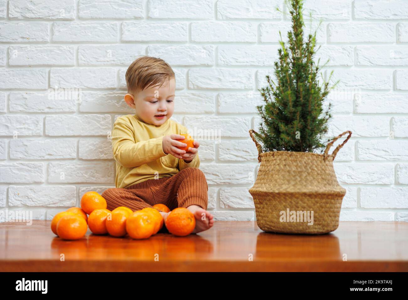 Little boy 2 years old eats tangerines. The kid wants to sit on citrus ...