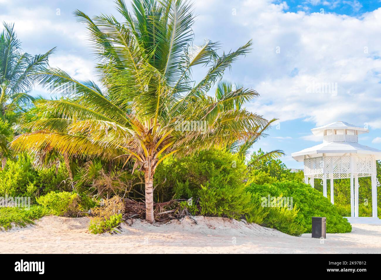 Tropical mexican caribbean beach palm trees and fir trees in jungle ...