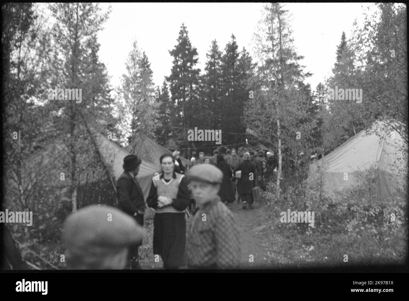 Evacuation of Finnish refugees, autumn 1944 Stock Photo - Alamy