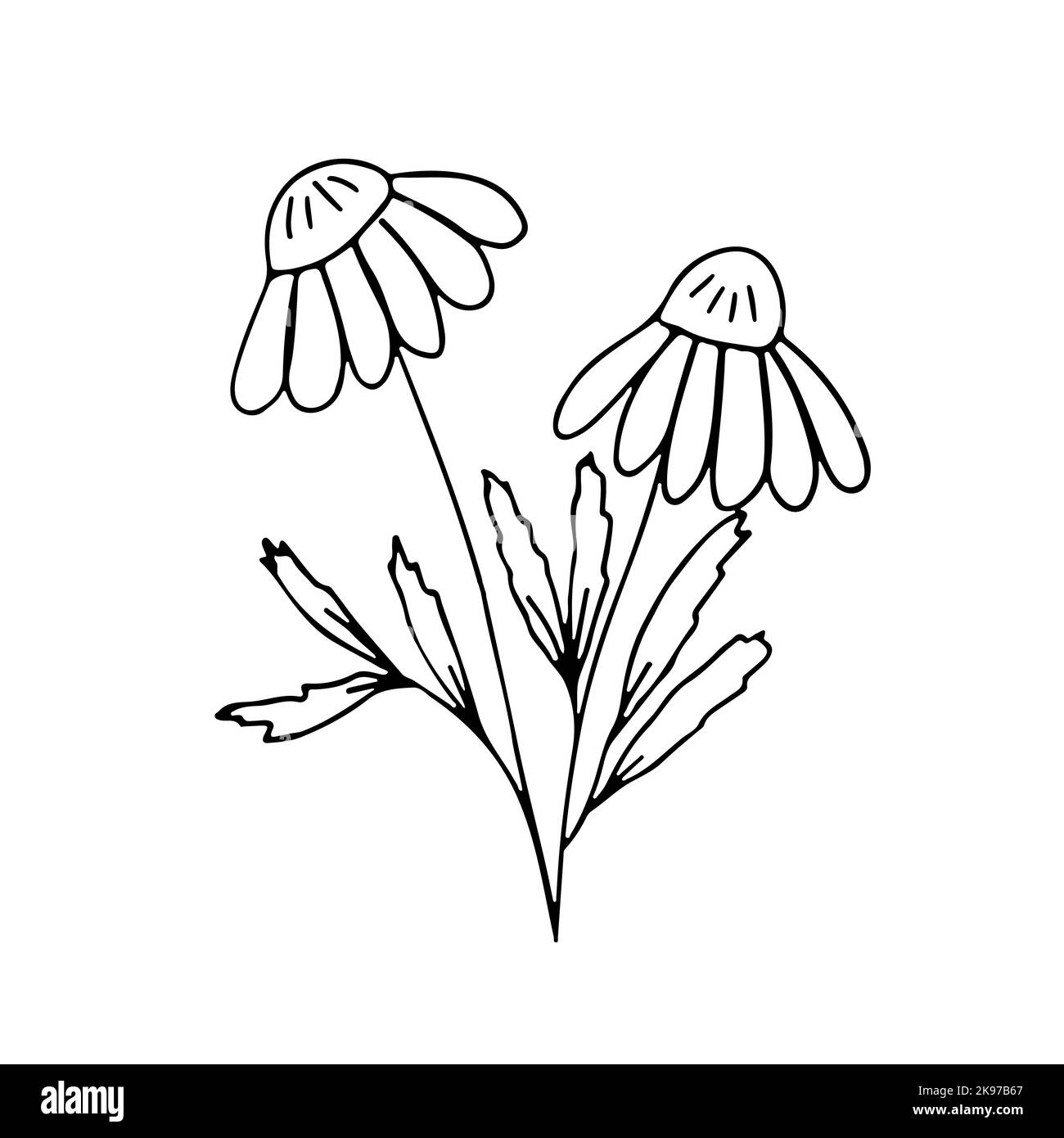 FLower in hand drawn doodle style. Vector illustration for postcard ...