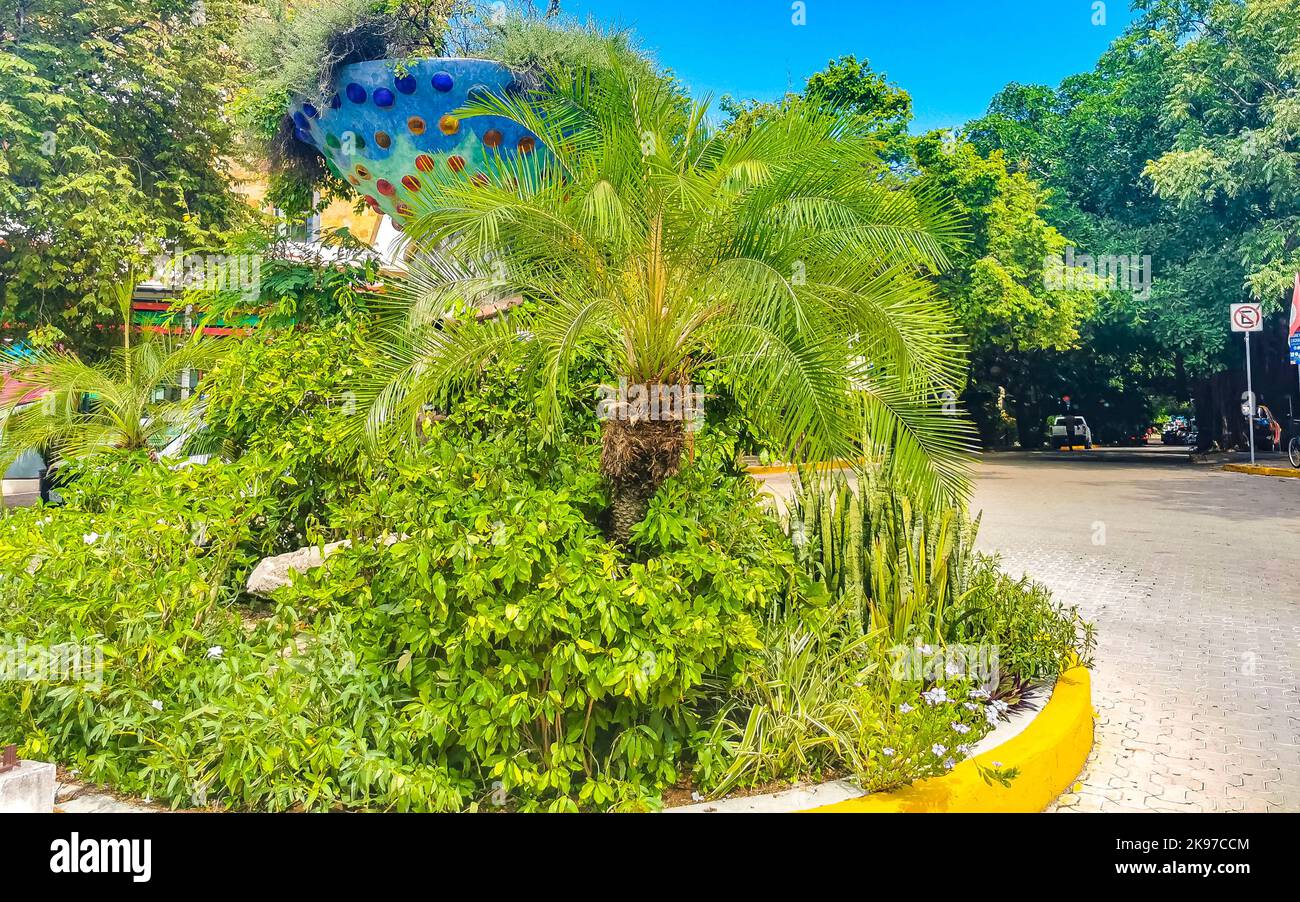 Tropical mexican caribbean beach palm trees and fir trees in jungle ...