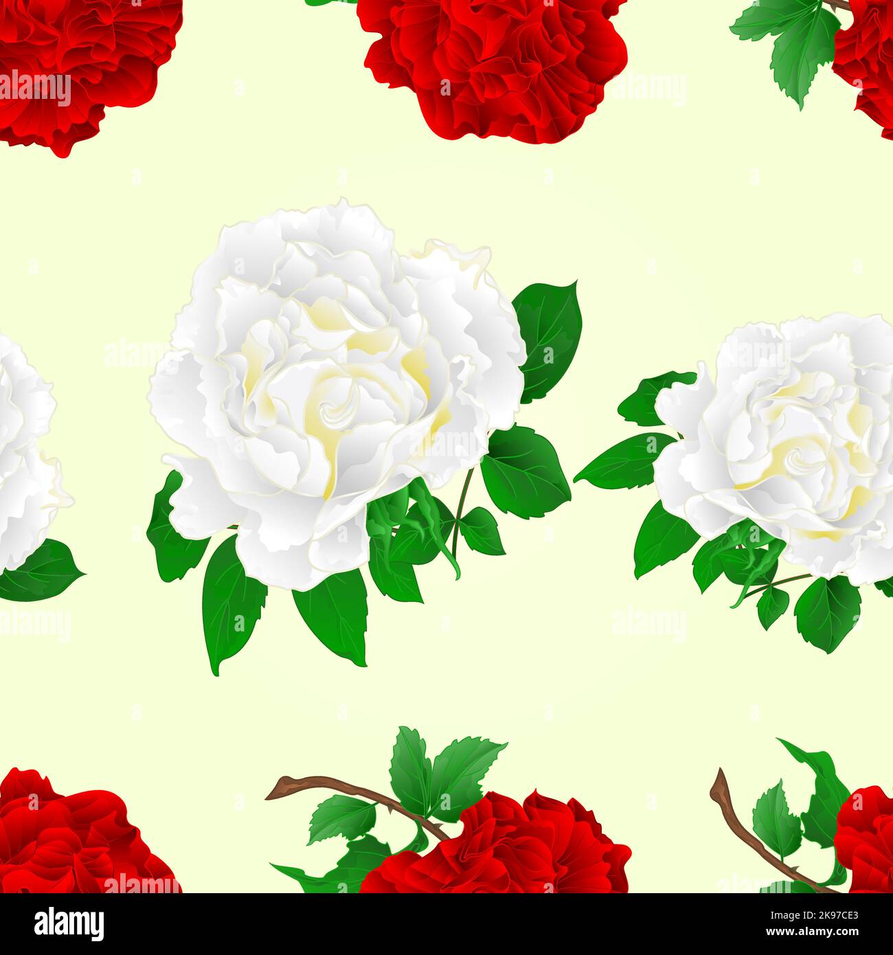 Seamless texture flowers red and white roses stem vintage vector illustration editable hand draw ...