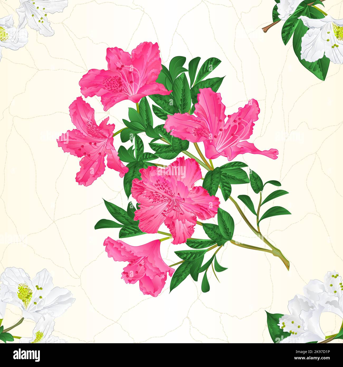 Seamless texture white and pink rhododendron twig mountain shrub ...