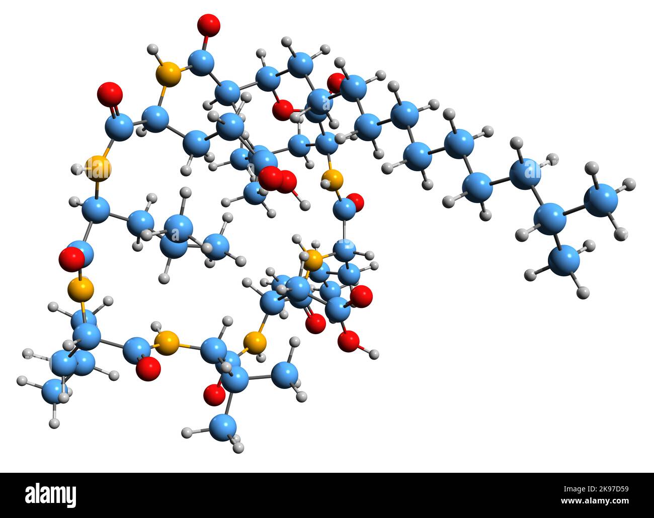 3D image of Surfactin skeletal formula - molecular chemical structure ...