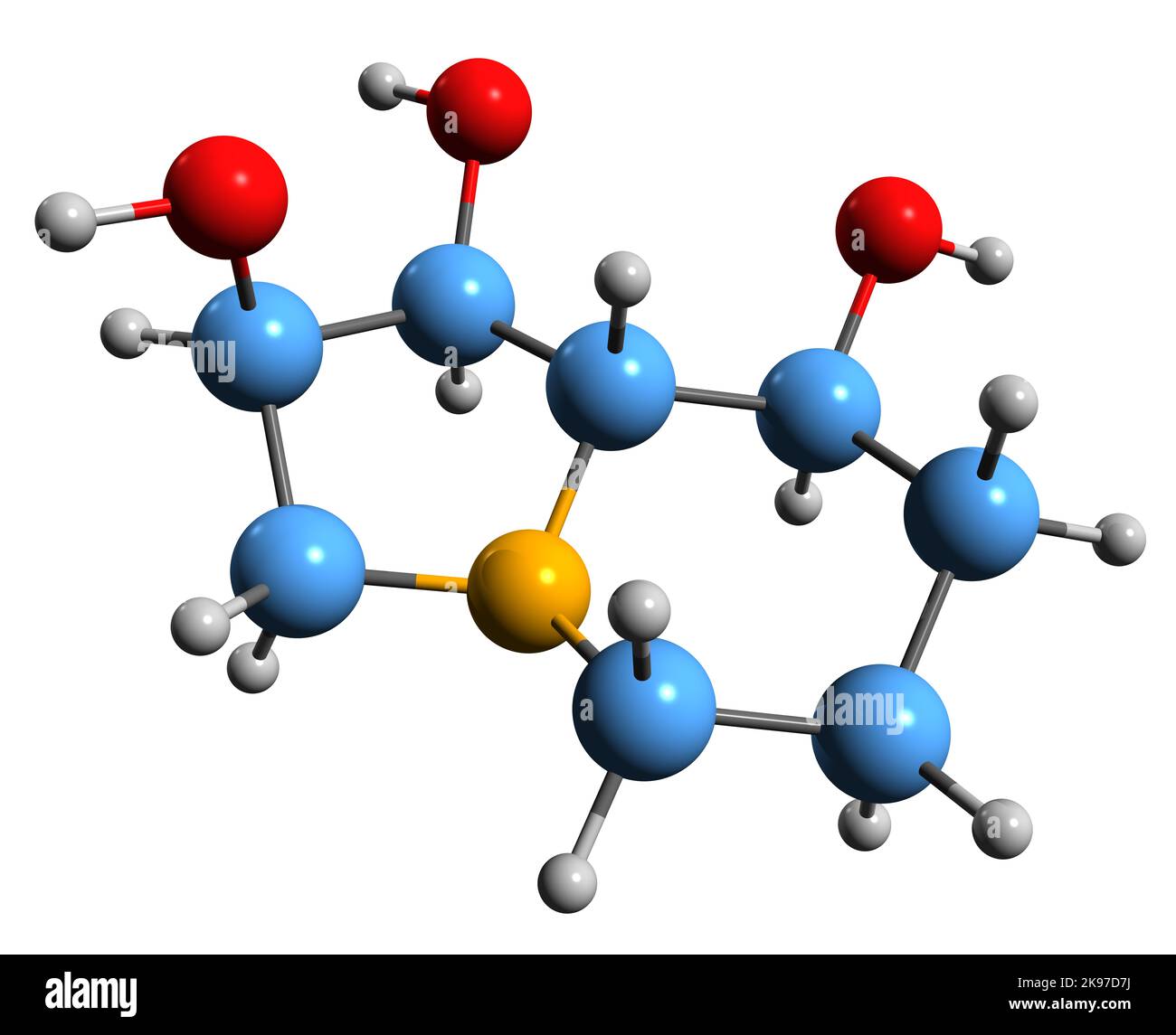 3D image of Swainsonine skeletal formula - molecular chemical structure ...