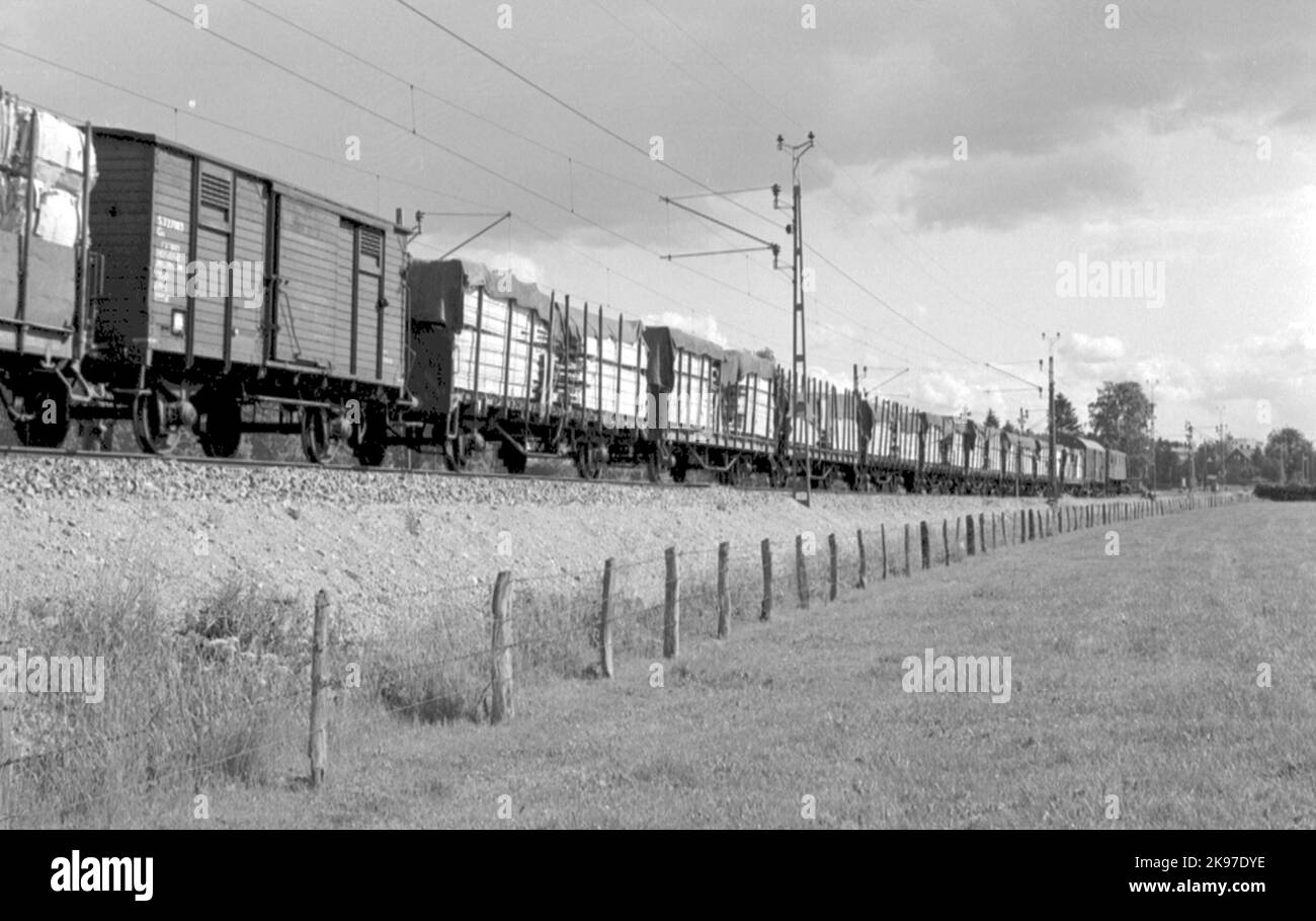 Track audit. Rails and grinders change (concrete grinders). Line ...