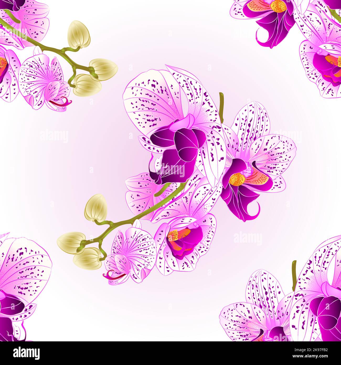 Seamless Texture Stem With Flowers And Buds Beautiful Orchid Purple And