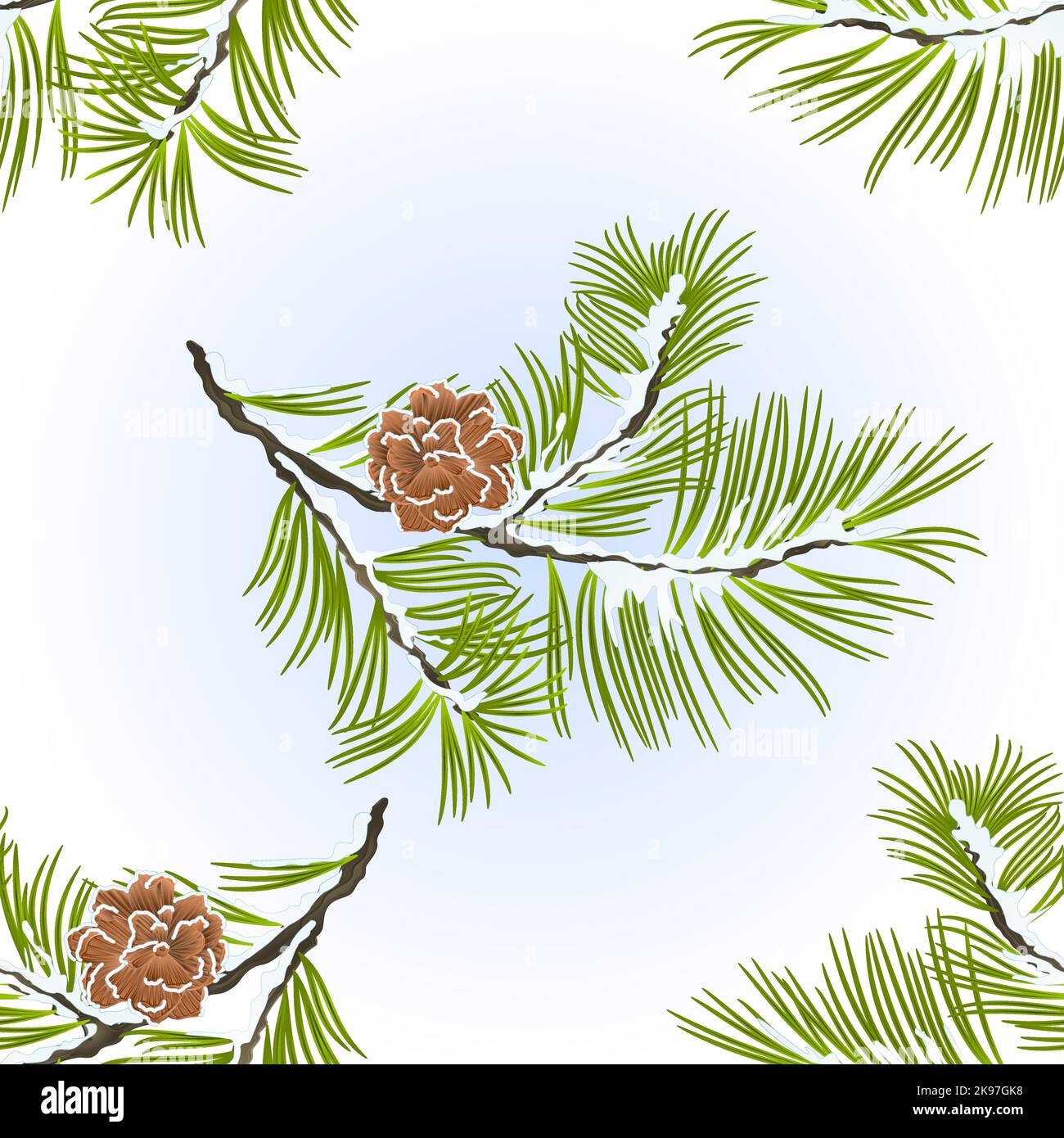 Seamless texture Pine tree and pine cones branch winter snowy natural ...