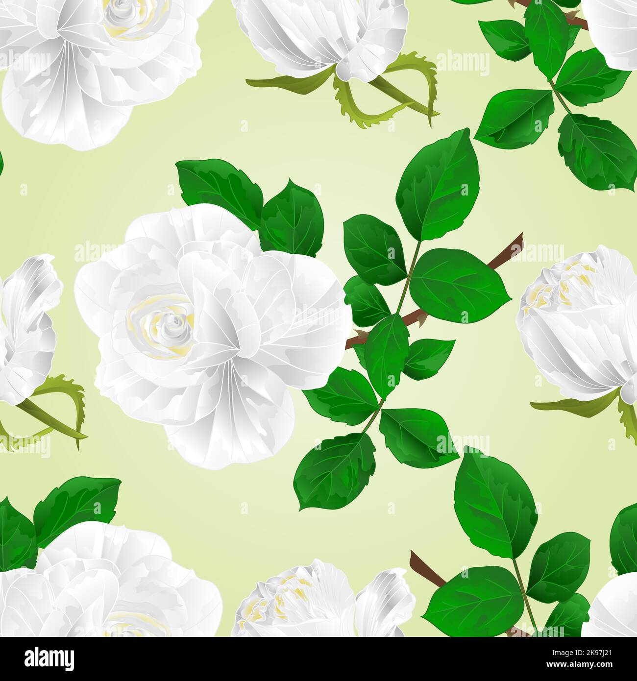 Seamless texture white rose flower stem nature background vintage ...