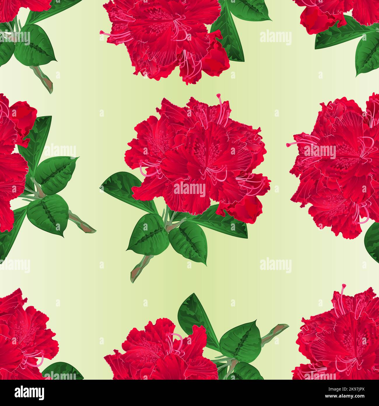 Seamless texture flowers red rhododendrons twig with leaves and flowers vintage vector ...