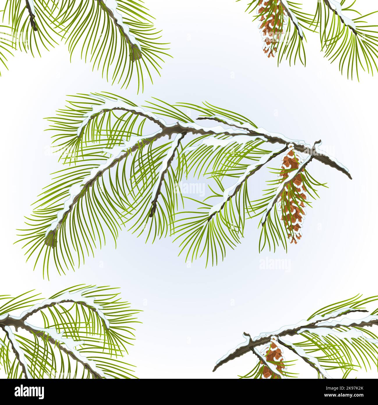 Seamless texture white Pine branch with pine cone winter snowy natural ...