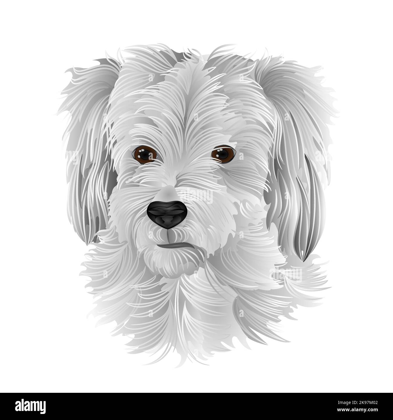The head of a small white terrier vector illustration editable hand ...