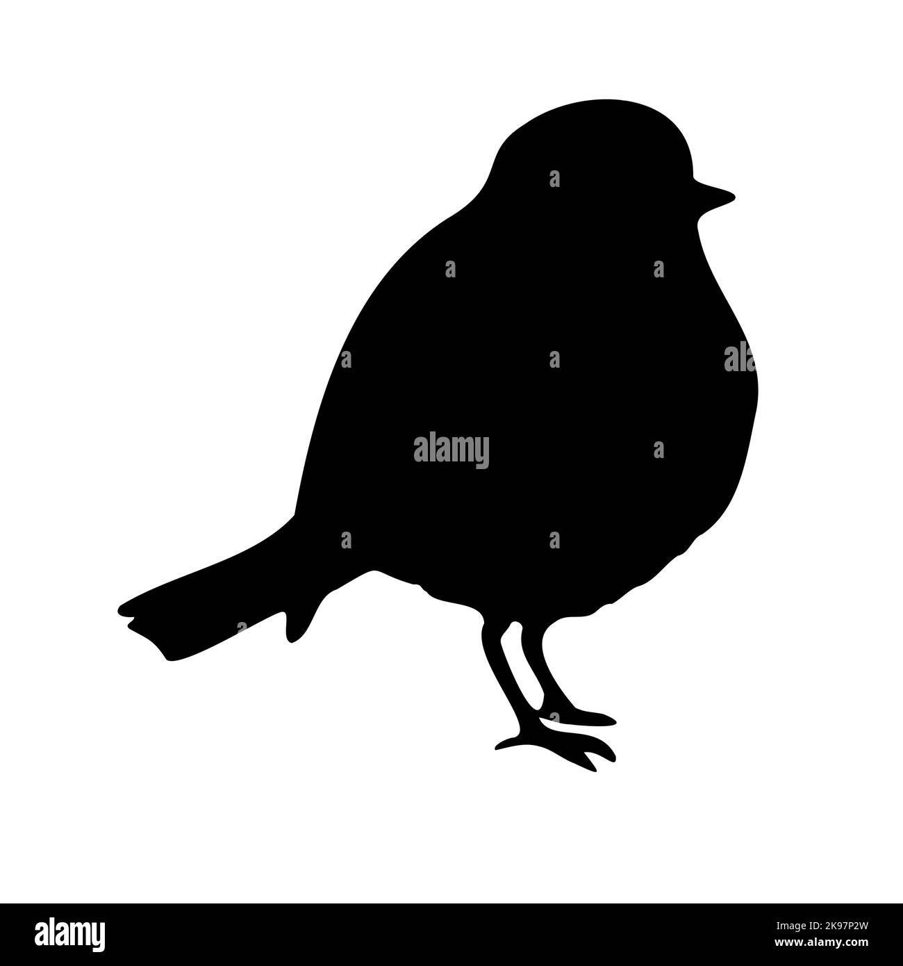 Vector hand drawn robin redbreast bird silhouette isolated on white background Stock Vector ...