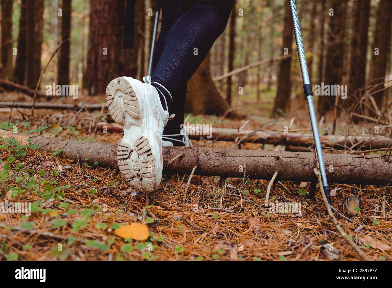 Young woman backpacker legs with hiking poles goes through the forest ...