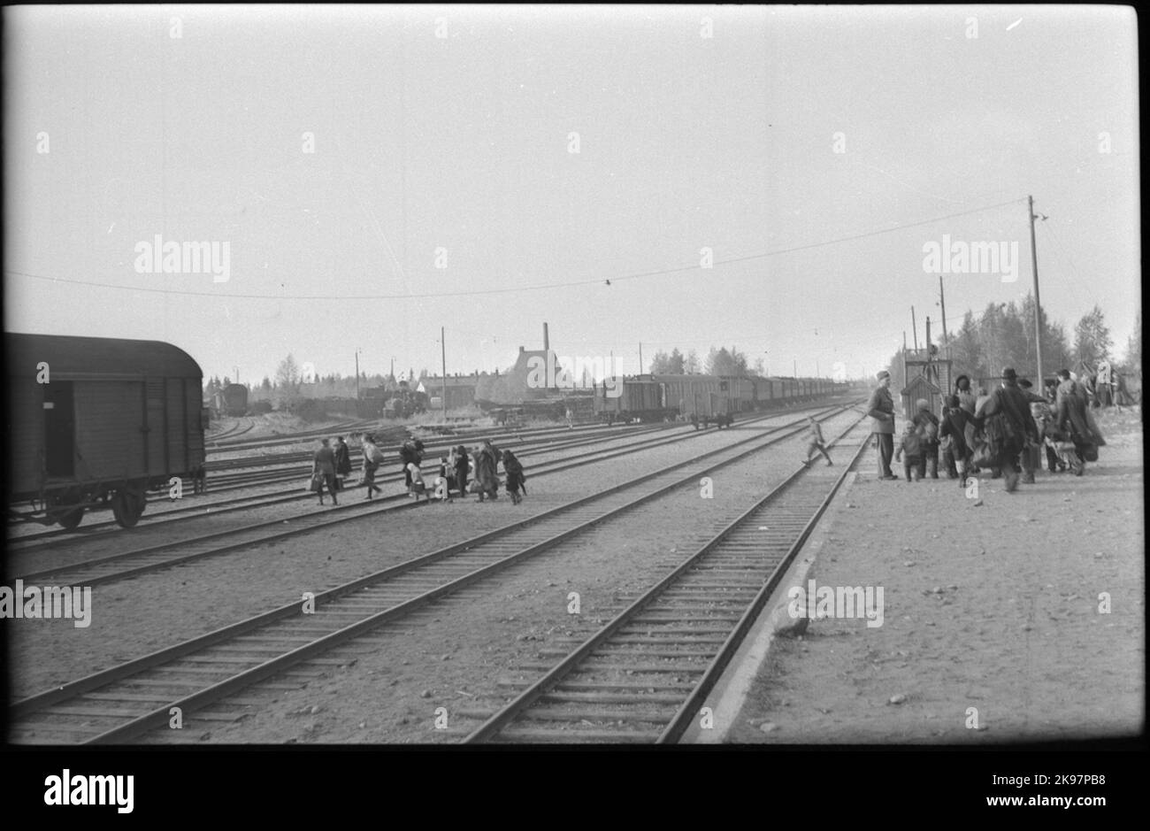 Evacuation of Finnish refugees, autumn 1944 Stock Photo - Alamy