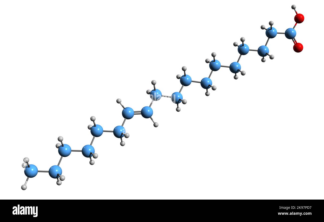 3D image of Vaccenic acid skeletal formula - molecular chemical ... 3D image of Vaccenic acid skeletal formula - molecular chemical ...