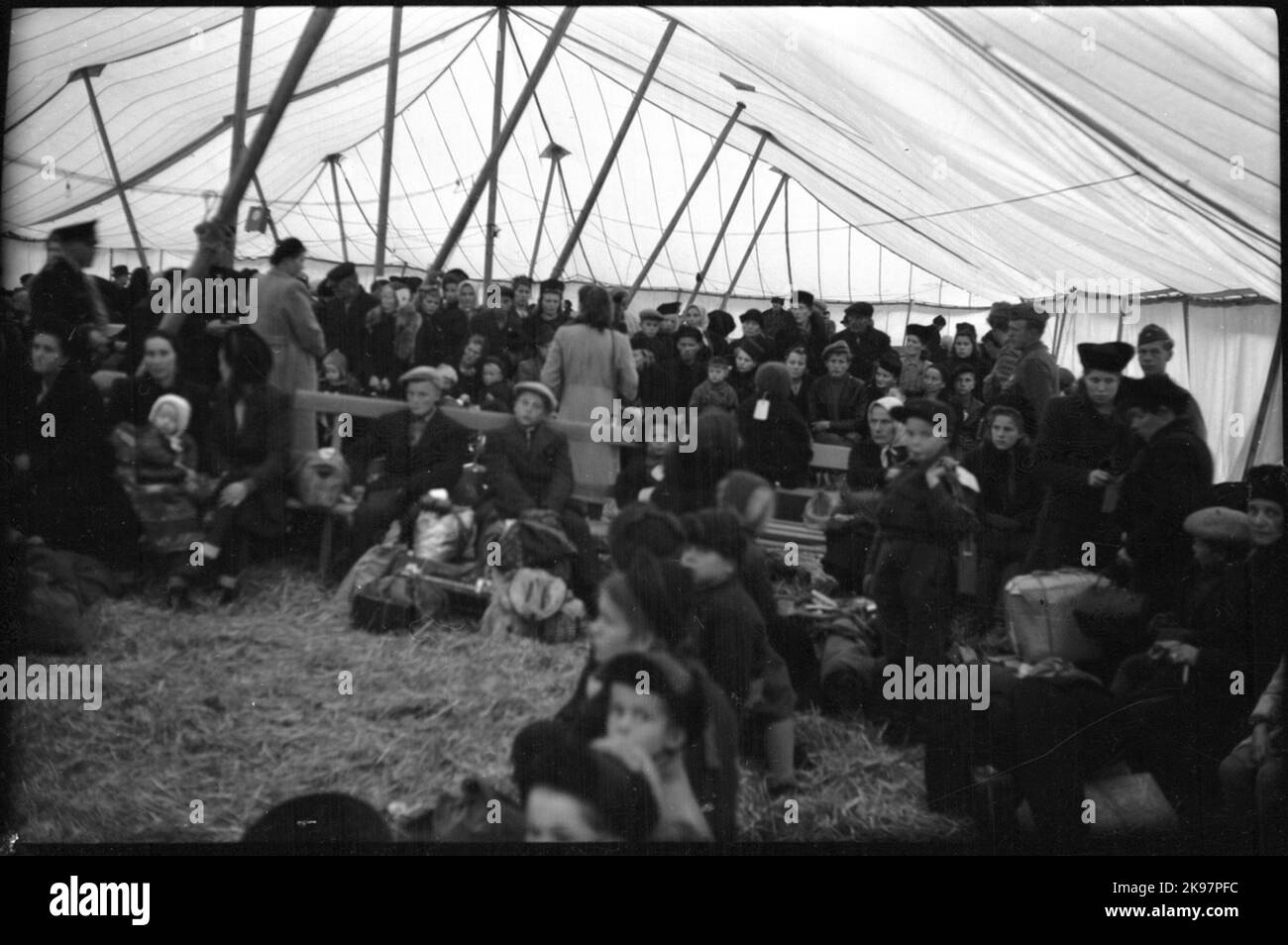 Evacuation of Finnish refugees, autumn 1944 Stock Photo - Alamy