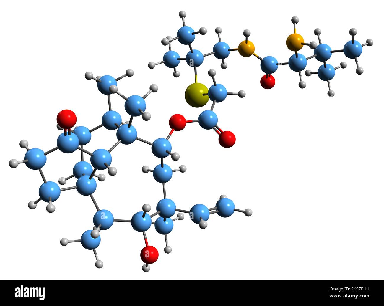 Mycoplasma bovis hi-res stock photography and images - Alamy