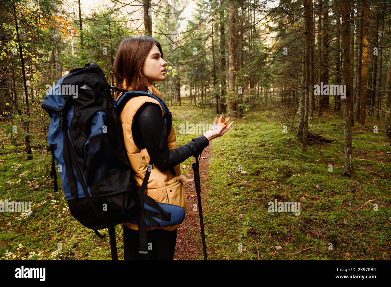 European young girl tourist with large backpack walks through forest ...