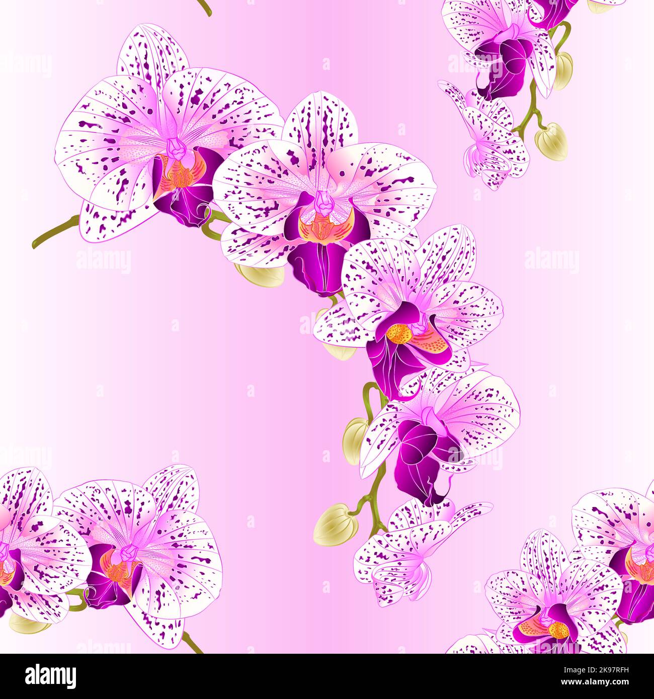 Seamless Texture Beautiful Orchid Phalaenopsis Purple And White Stem