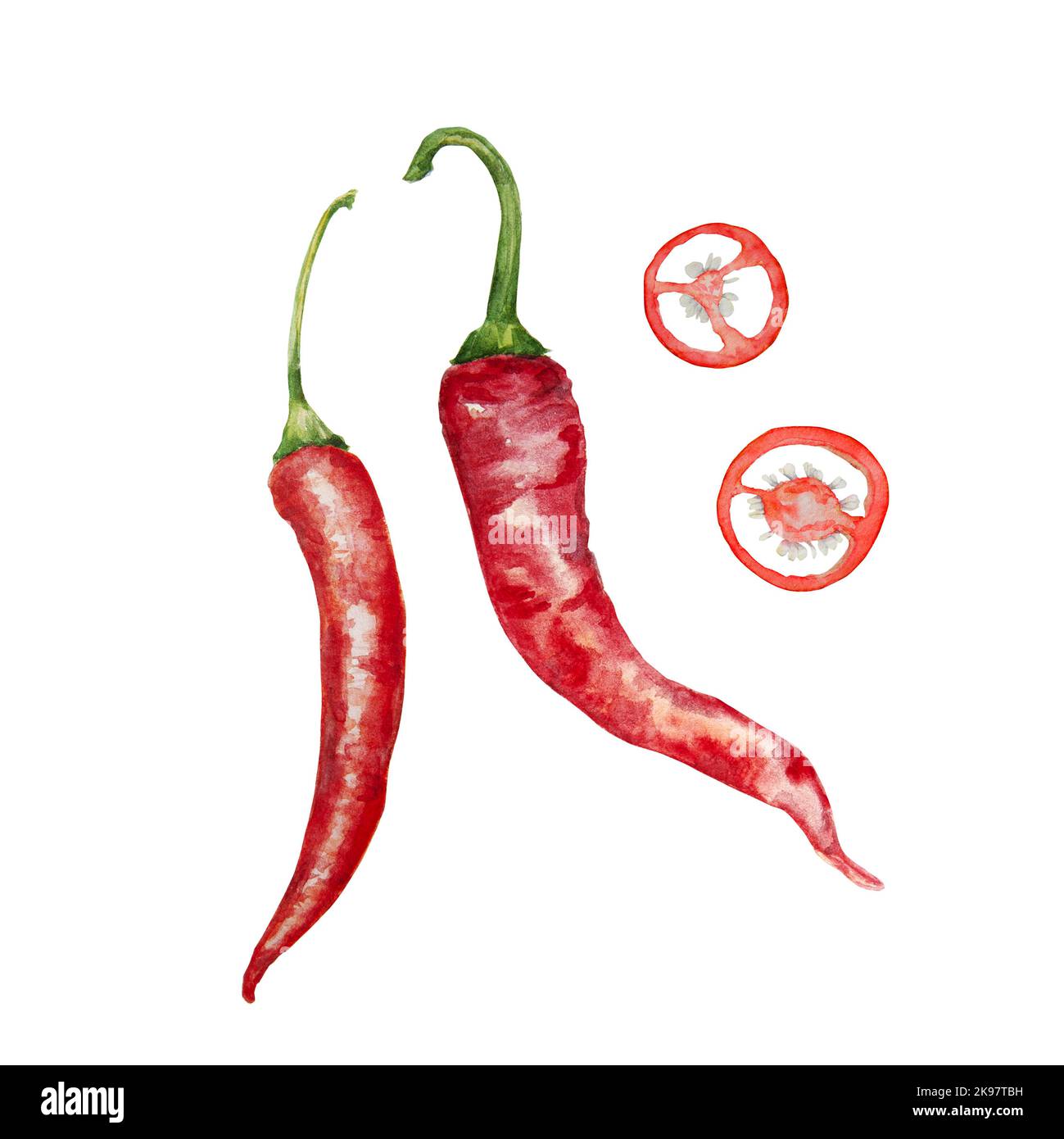 Hand drawn watercolor pepper isolated on white background Stock Photo ...