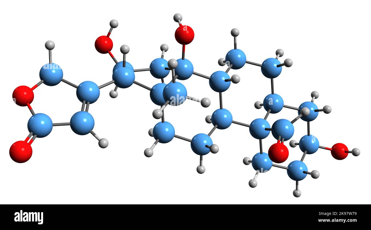 3D image of adonitoxygenin skeletal formula - molecular chemical ...