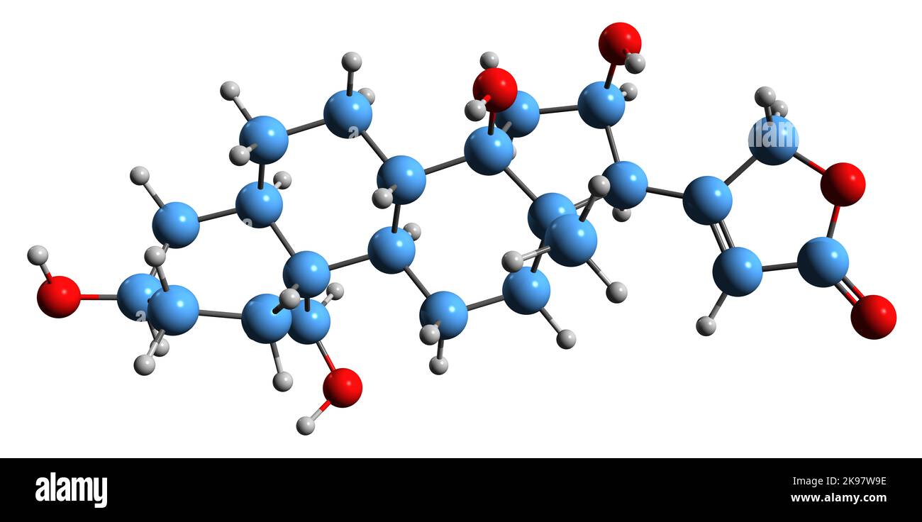3D image of adonitoxol skeletal formula - molecular chemical structure ...