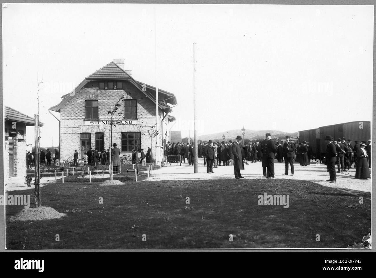 Stem network hi-res stock photography and images - Alamy